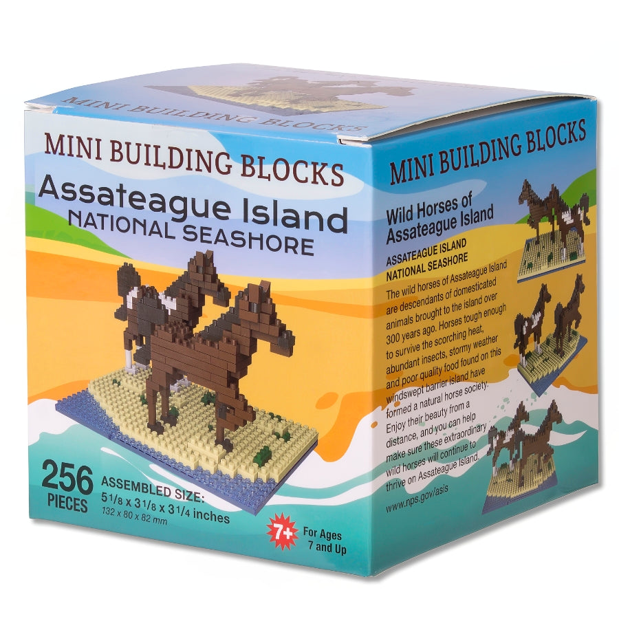 Assateague Island Mini Blocks — America's National Parks