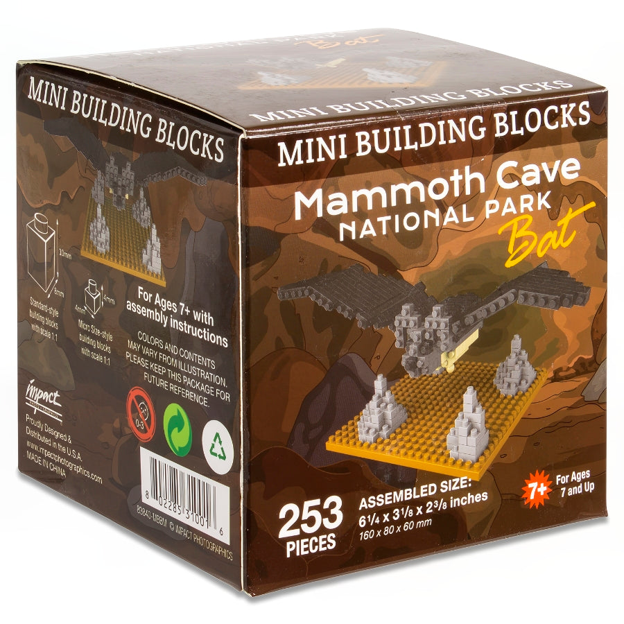 Mammoth Cave Bat Mini Blocks — America's National Parks