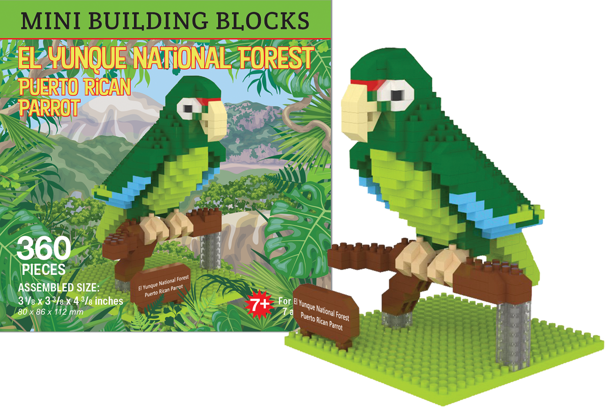 El Yunque National Forest Mini Blocks — Americas National Parks